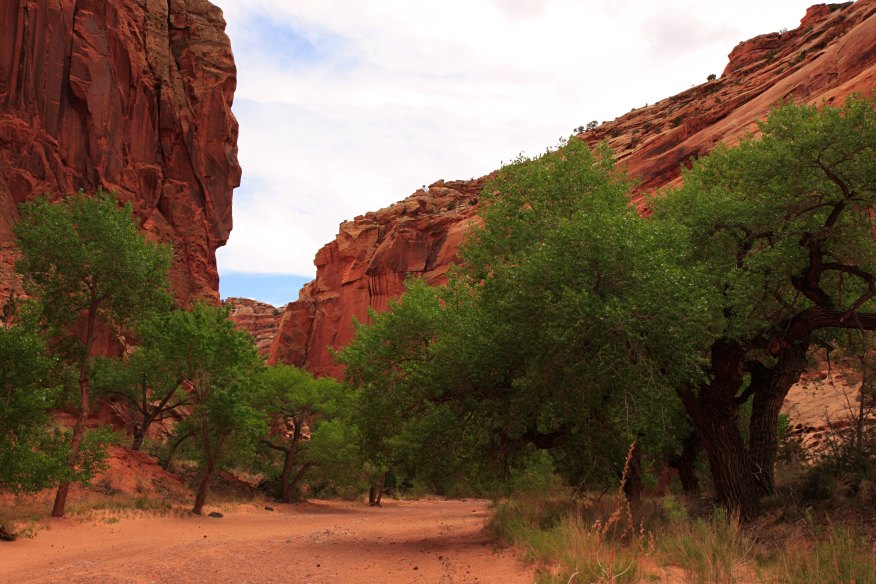 Spring Canyon, Capitol Reef National Park