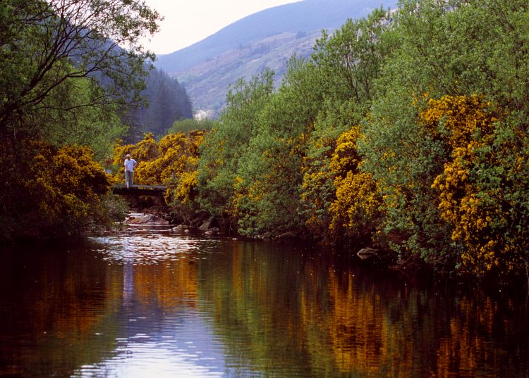 Glenmalure valley, County Wicklow, Ireland